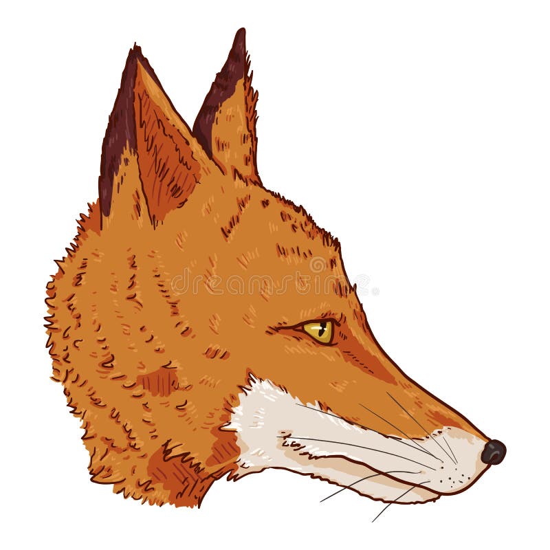 Cartoon Fox Side Stock Illustrations – 456 Cartoon Fox Side Stock ...