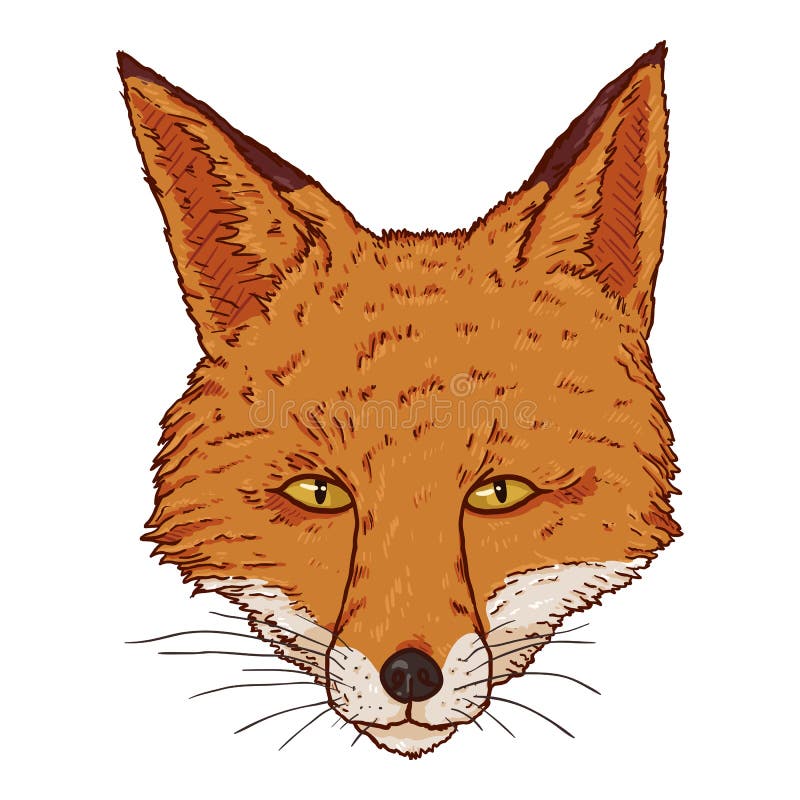 Fox Head. Vector Cartoon Illustration Stock Vector - Illustration of ...
