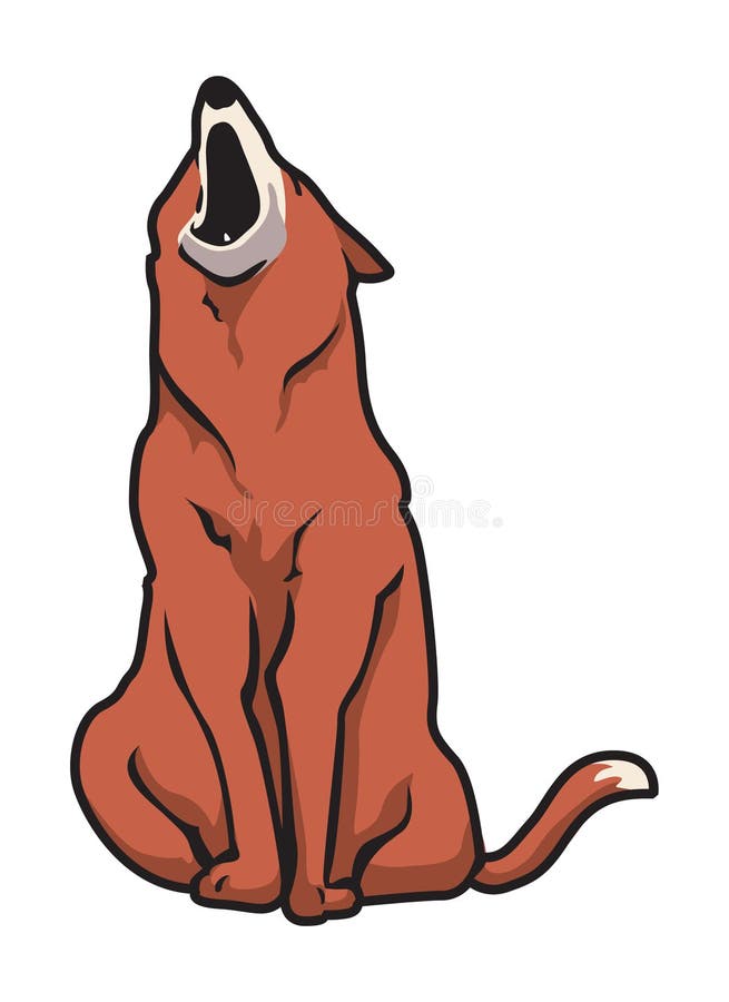Fox howling stock vector. Illustration of species, howling - 6207628