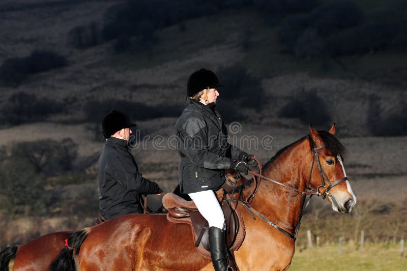 Fox hunting editorial image. Image of ridding, hounds - 24242975