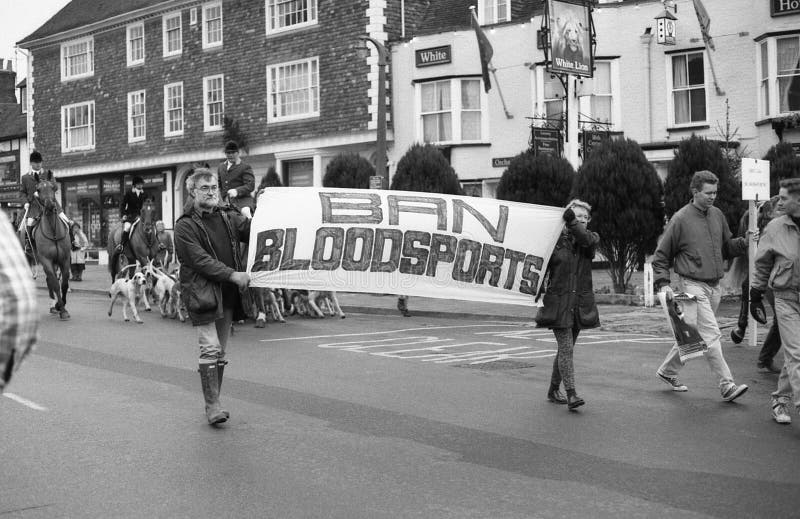 Fox Hunting Protest, England Editorial Image - Image of hound, crowd ...