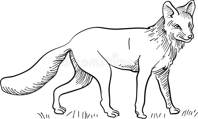 Selvam Raghupathy (Selvamartist) - Illustrations