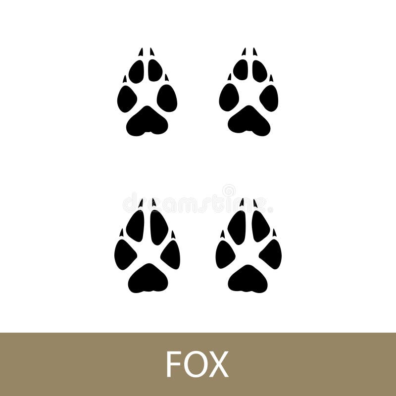 Fox mammal trace stock vector. Illustration of mammal - 269211586