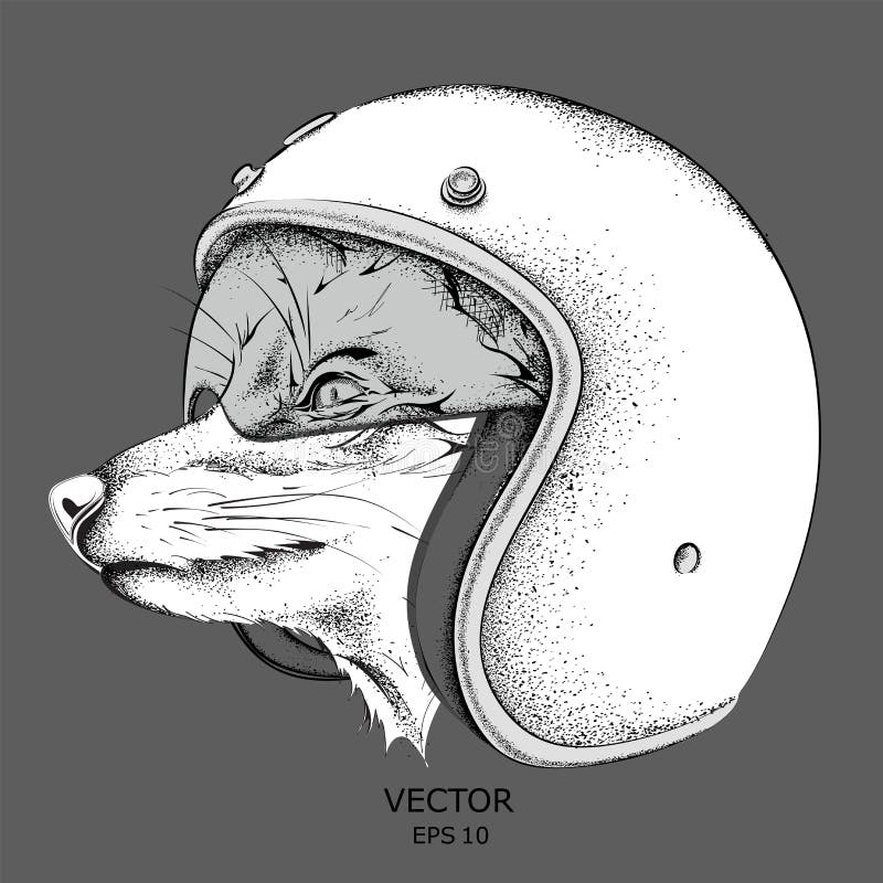 Fox in a Motorcycle Helmet. Vector Illustration Stock Vector ...