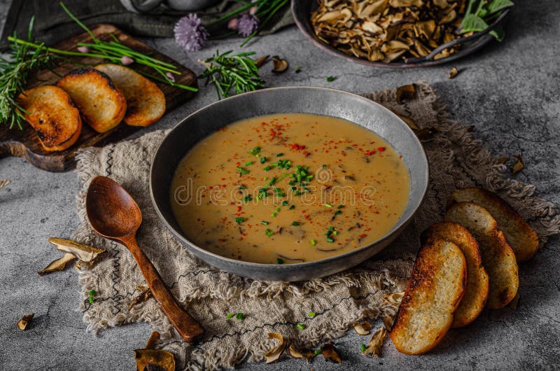Fox mushrooms soup stock image. Image of styling, appetizer - 182943327