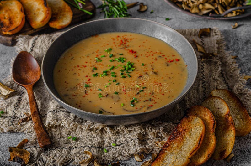 Fox mushrooms soup stock photo. Image of bowl, appetizer - 182943430