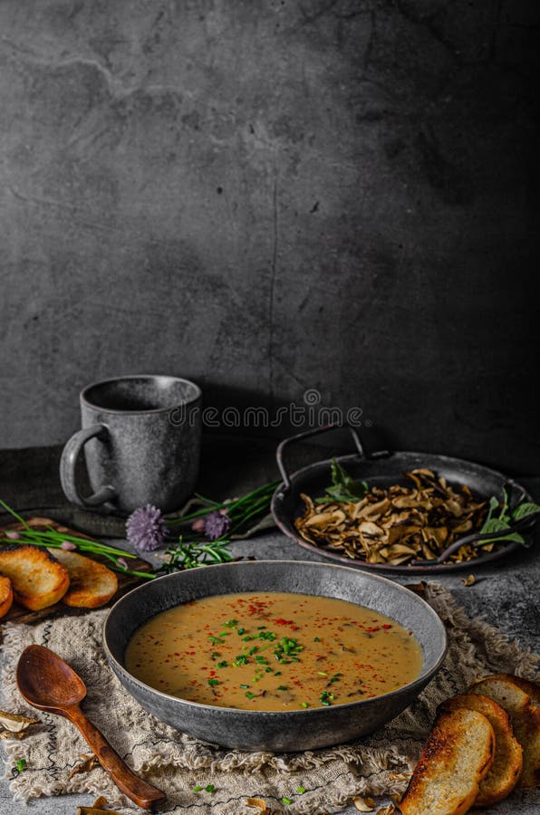 Fox mushrooms soup stock photo. Image of onion, crispy - 182944322