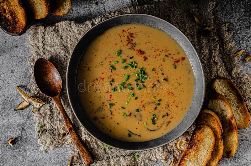 Fox mushrooms soup stock photo. Image of garlic, pastry - 182944394