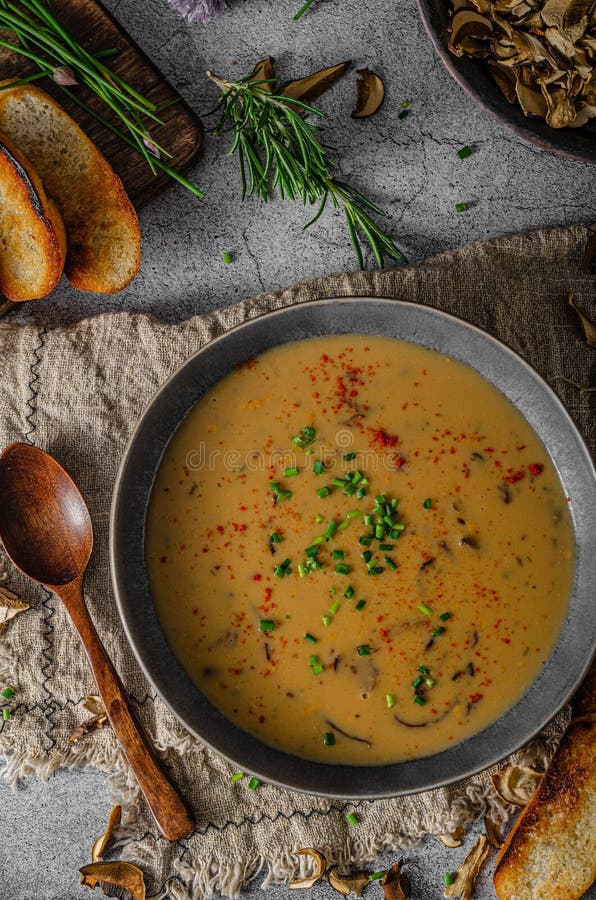 Fox mushrooms soup stock photo. Image of fresh, food - 182944460