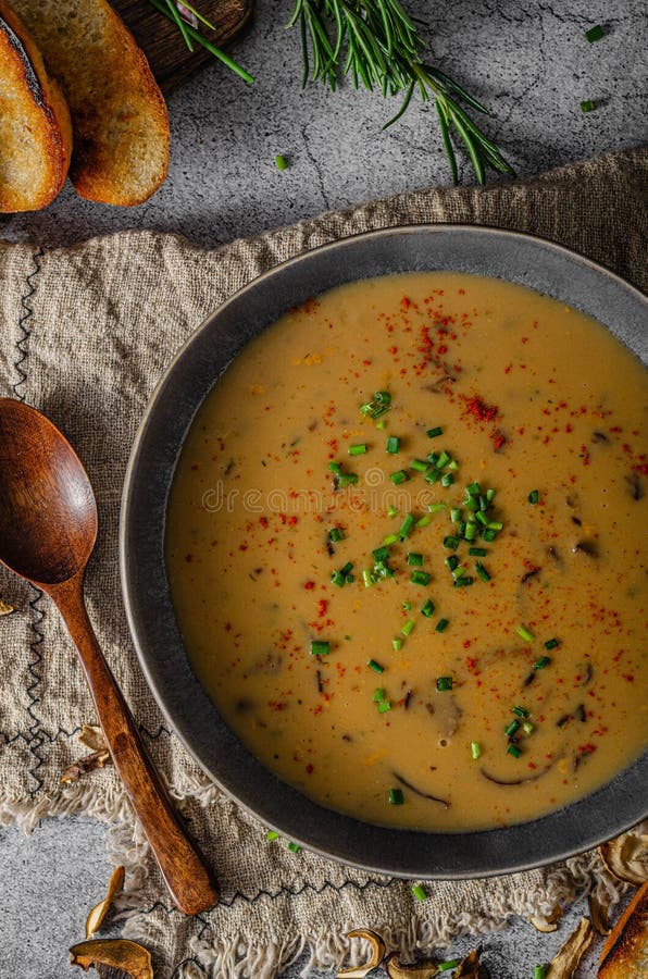 Fox mushrooms soup stock photo. Image of pastry, crispy - 182944630