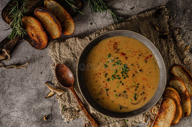 Fox mushrooms soup stock photo. Image of dinner, lunch - 182944702