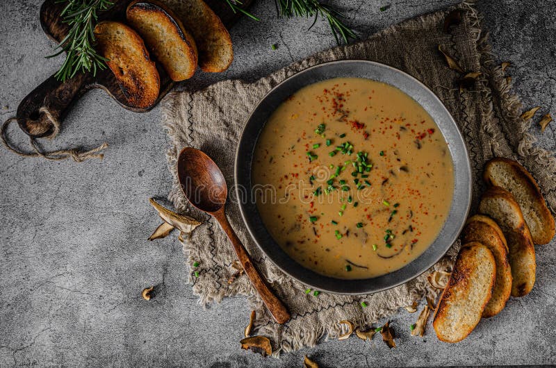 Fox mushrooms soup stock photo. Image of spoon, gourmet - 182944804