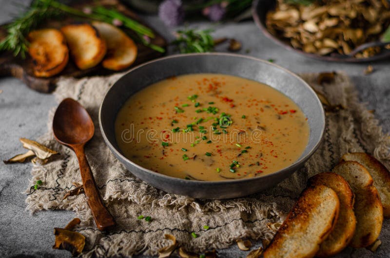 Fox mushrooms soup stock photo. Image of meal, brown - 182944972