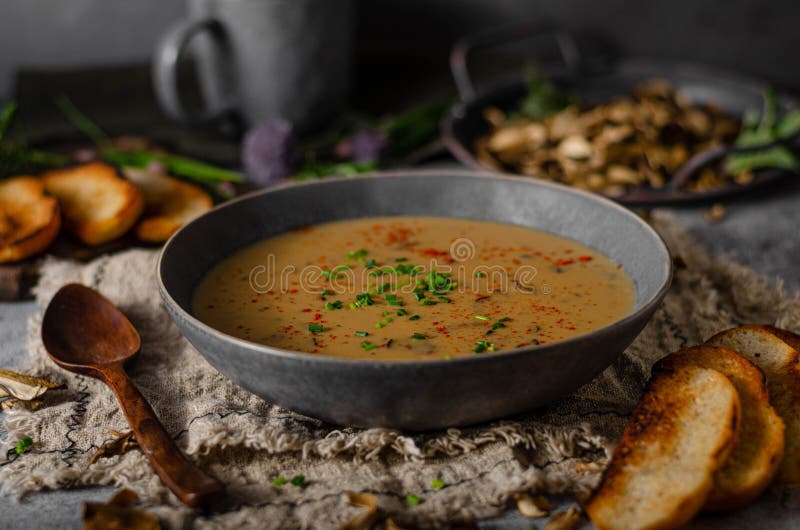 Fox mushrooms soup stock photo. Image of crispy, meal - 182945660