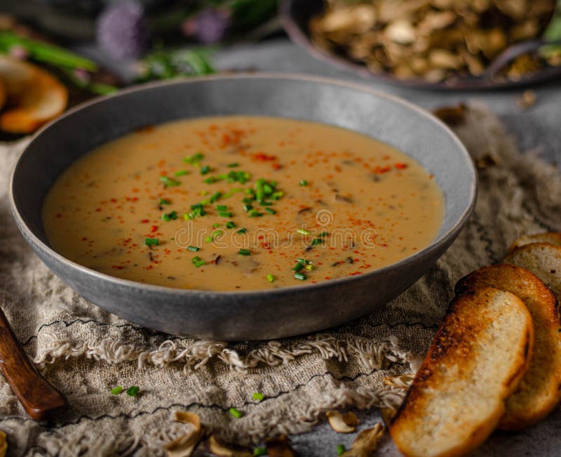 Fox mushrooms soup stock photo. Image of dish, herbs - 182945846