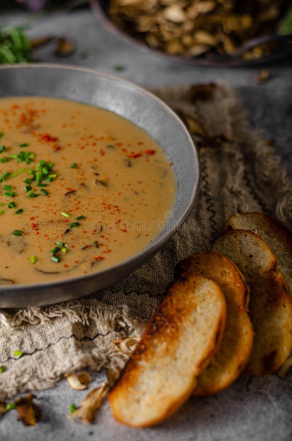 Fox mushrooms soup stock image. Image of mushrooms, cream - 182946199
