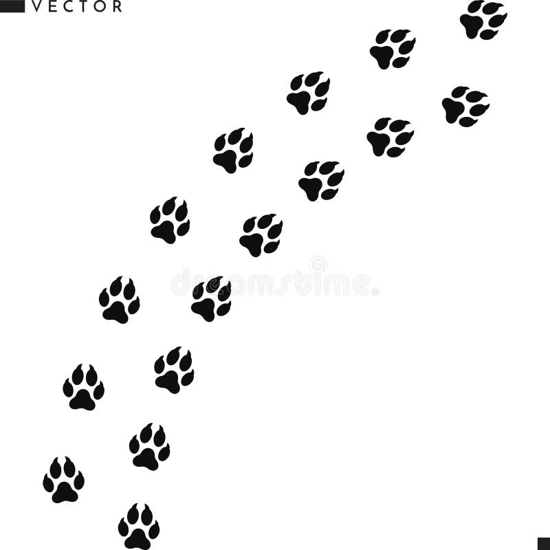 Fox Paw Print Vector Illustration. Wild Animal Track Stock Vector ...
