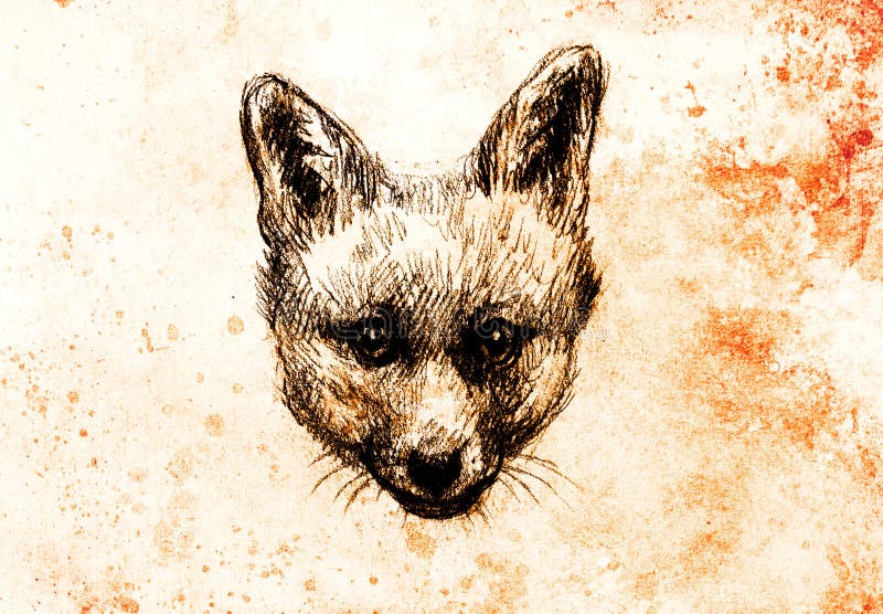 Fox Portrait, Pencil Drawing on Paper and Vintage Effect. Stock ...