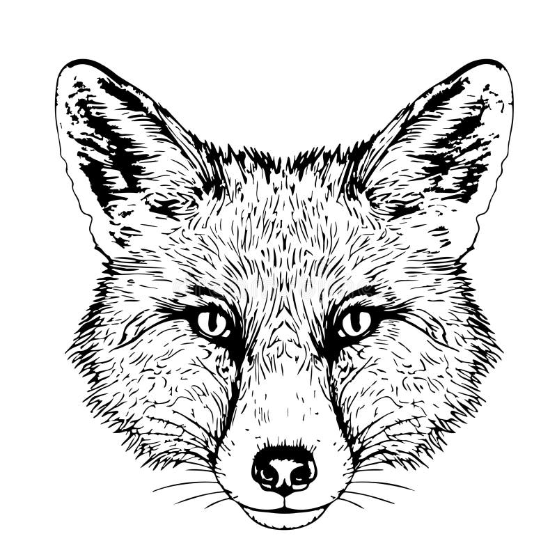 Fox Portrait Sketch Hand Drawn in Doodle Style Vector Illustration ...