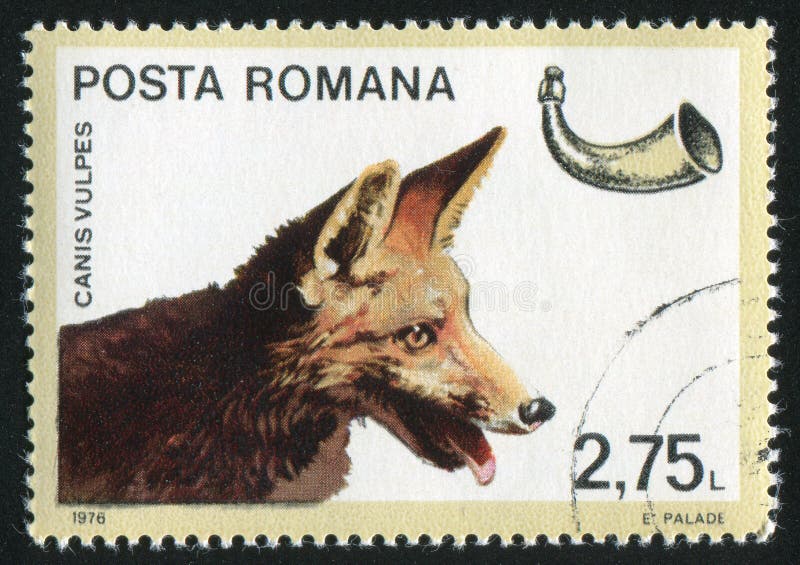 Fox editorial stock image. Image of animal, vintage - 223788174