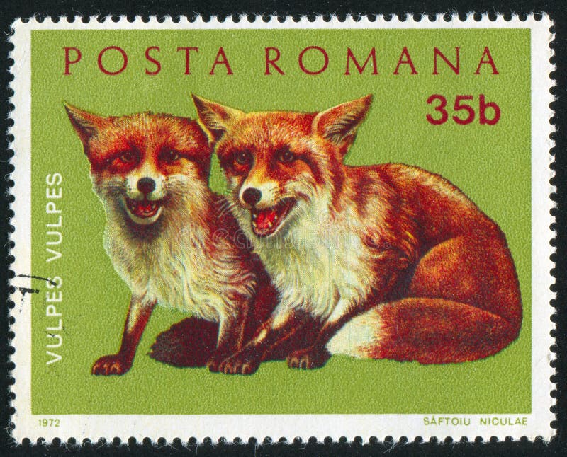 Fox editorial photography. Image of postcard, nature - 223788327