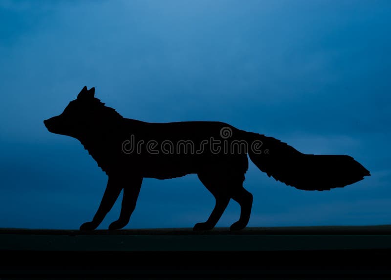 Fox Silhouette stock image. Image of night, dark, photograph - 54256525
