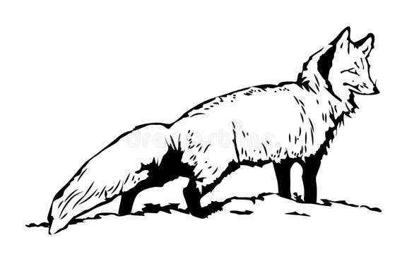 Fox Side View Stock Illustrations – 1,022 Fox Side View Stock ...