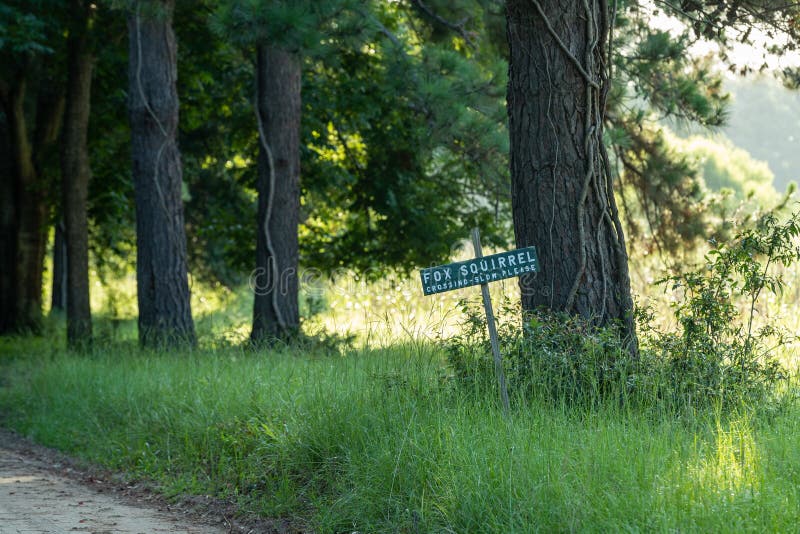 Fox and Squirrel Crossing Sign on Dirt Road Stock Image - Image of ...