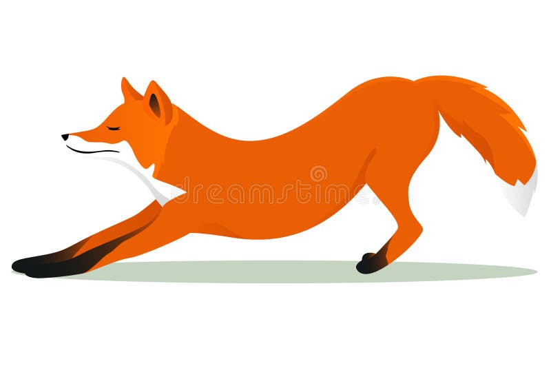 Fox is stretching stock vector. Illustration of vector - 102011675