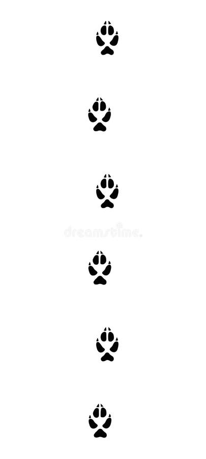 Fox Tracks Black Footprints Stock Vector - Illustration of typical ...