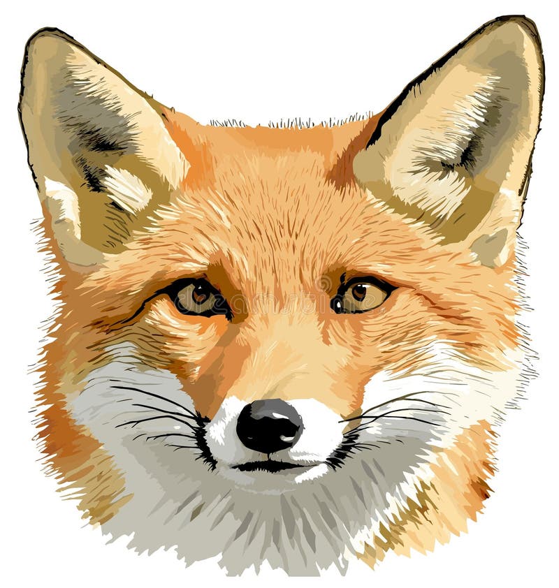 Vector Drawing of a Colorful Fox. Logotype. Sticker. Mascot Stock ...