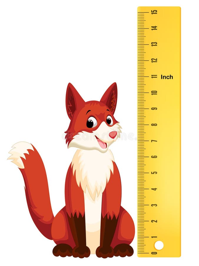 Fox Ruler Stock Illustrations – 79 Fox Ruler Stock Illustrations ...