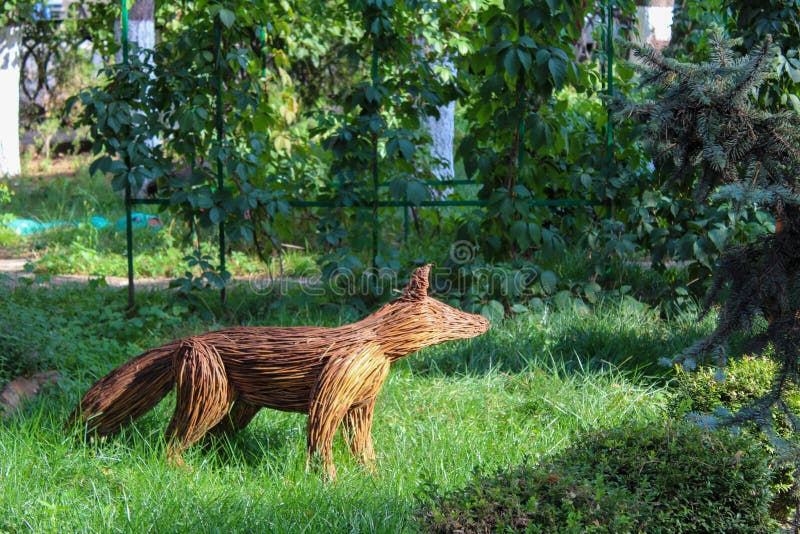 Fox of the vine stock image. Image of ð›ð¸ñ , woodland - 231169699