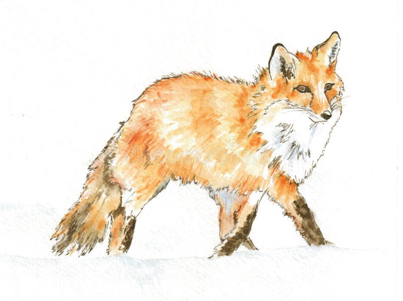 Fox stock illustration. Illustration of hand, clever - 46731367