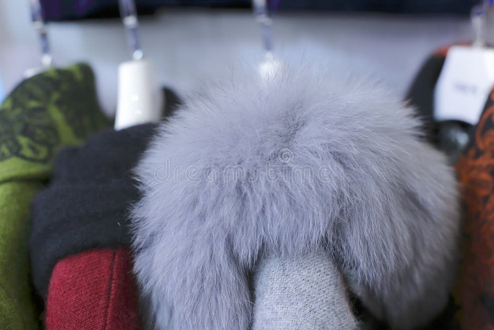 Fox wool collar stock image. Image of satisfy, blue, fashion - 47683611