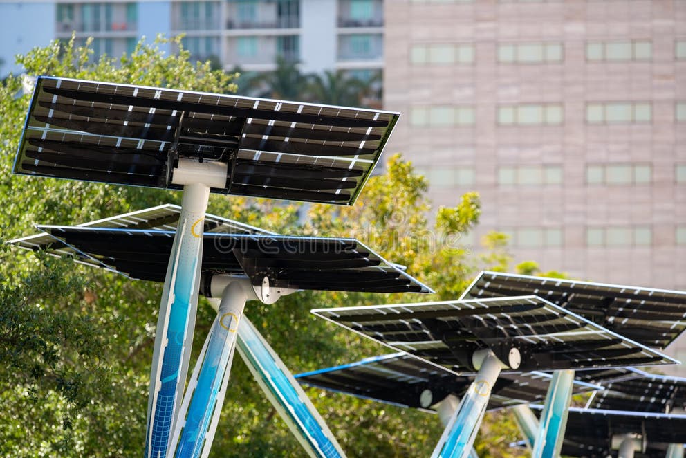 FPL Solar Power Trees Downtown Miami FL Stock Photo - Image of blurry ...