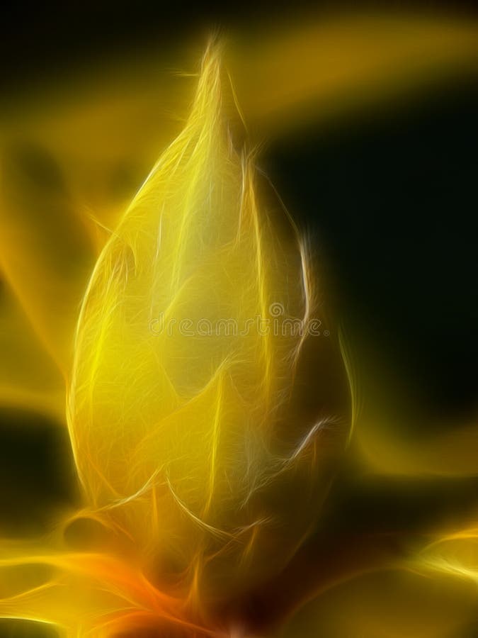 Vegetable Cocoon Stock Illustrations – 7 Vegetable Cocoon Stock ...