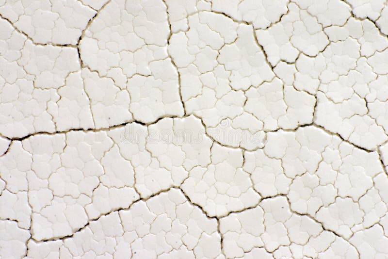 Fractal Drying Cracks on White Surface, Close-up Stock Photo - Image of ...
