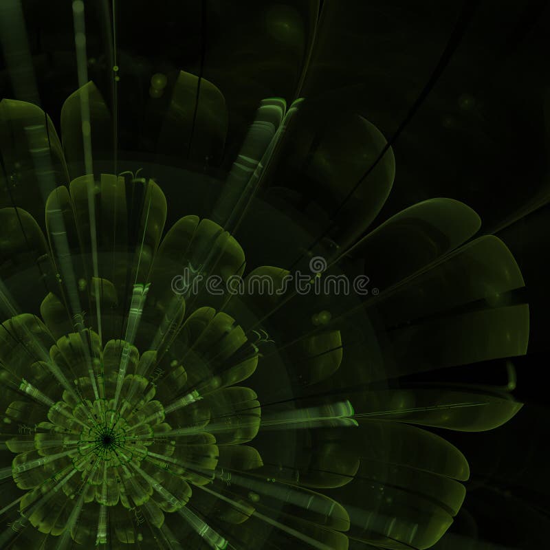 Fractal flower stock illustration. Illustration of backdrop - 55702086