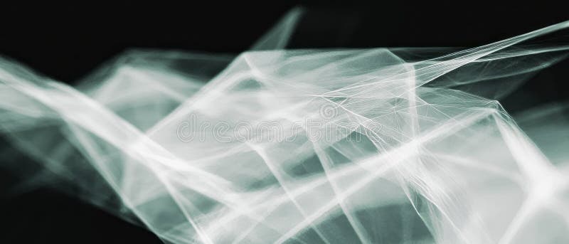 Fractal Overlay Texture with Geometric Patterns in Mathematical Harmony ...