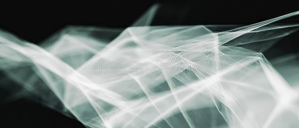 Fractal Overlay Texture with Geometric Patterns in Mathematical Harmony ...