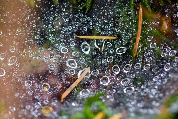 Fracture of time stock image. Image of rain, macro, drop - 119067011
