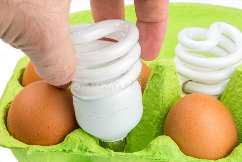 Fragile Aspect of Modern Twisted Lightbulbs Stock Photo - Image of ...