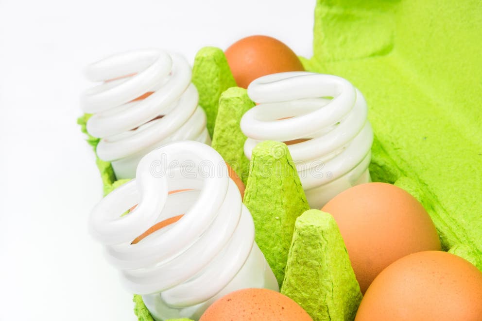 Fragile Aspect of Modern Twisted Lightbulbs Stock Photo - Image of ...