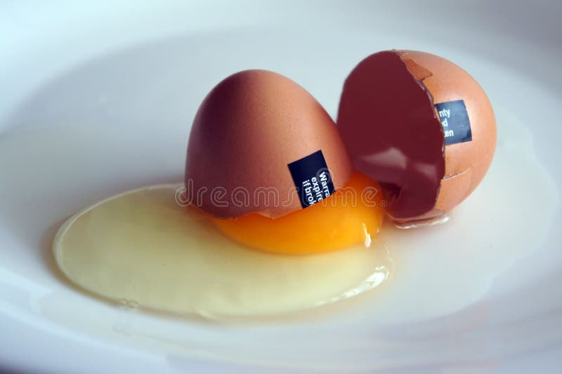 Fragile egg stock photo. Image of fowl, concept, damage - 38141308