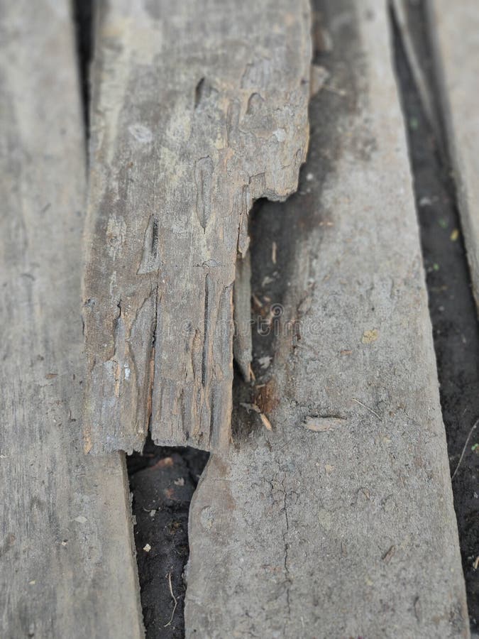 Fragile old wood wallpaper stock photo. Image of broken - 209286000