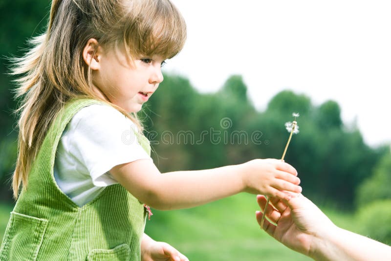 Fragilité photo stock. Image of adorable, caucasien, bras - 5608278