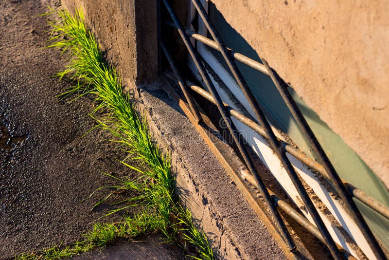 Fragment of the Basement Floor of a Building with a Small Window Closed ...