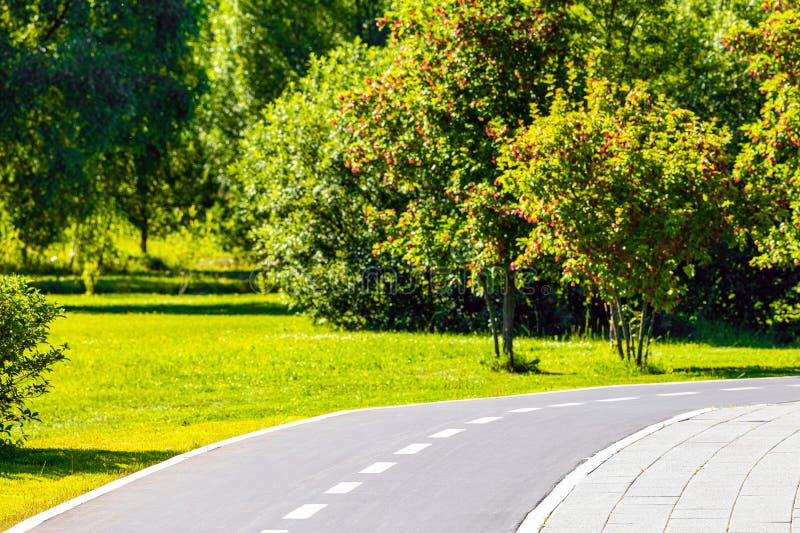 Fragment of a Bicycle Path in a Park, without People Stock Photo ...