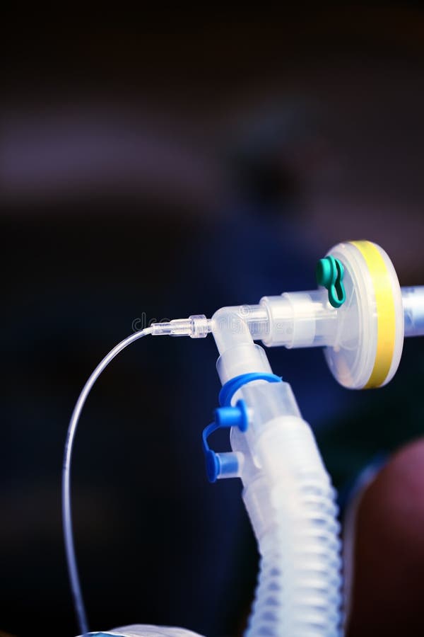 Breathing Circuit of Patient on the Ventilator in ICU Stock Photo ...